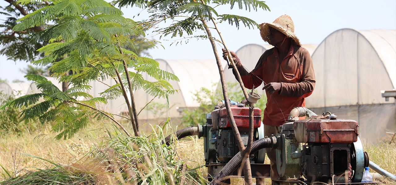Building a thriving and diverse local economy - The Fair Cobalt Alliance